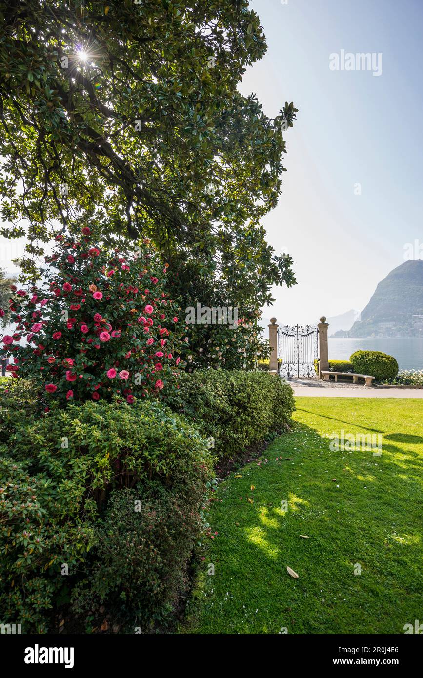 Parco Civico, Lugano, Lake Lugano, canton of Ticino, Switzerland Stock ...