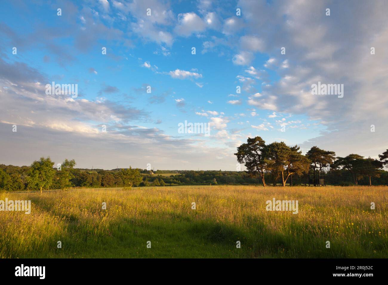 Landscape near Uckfield, Wealden, East Sussex, Great Britain Stock ...