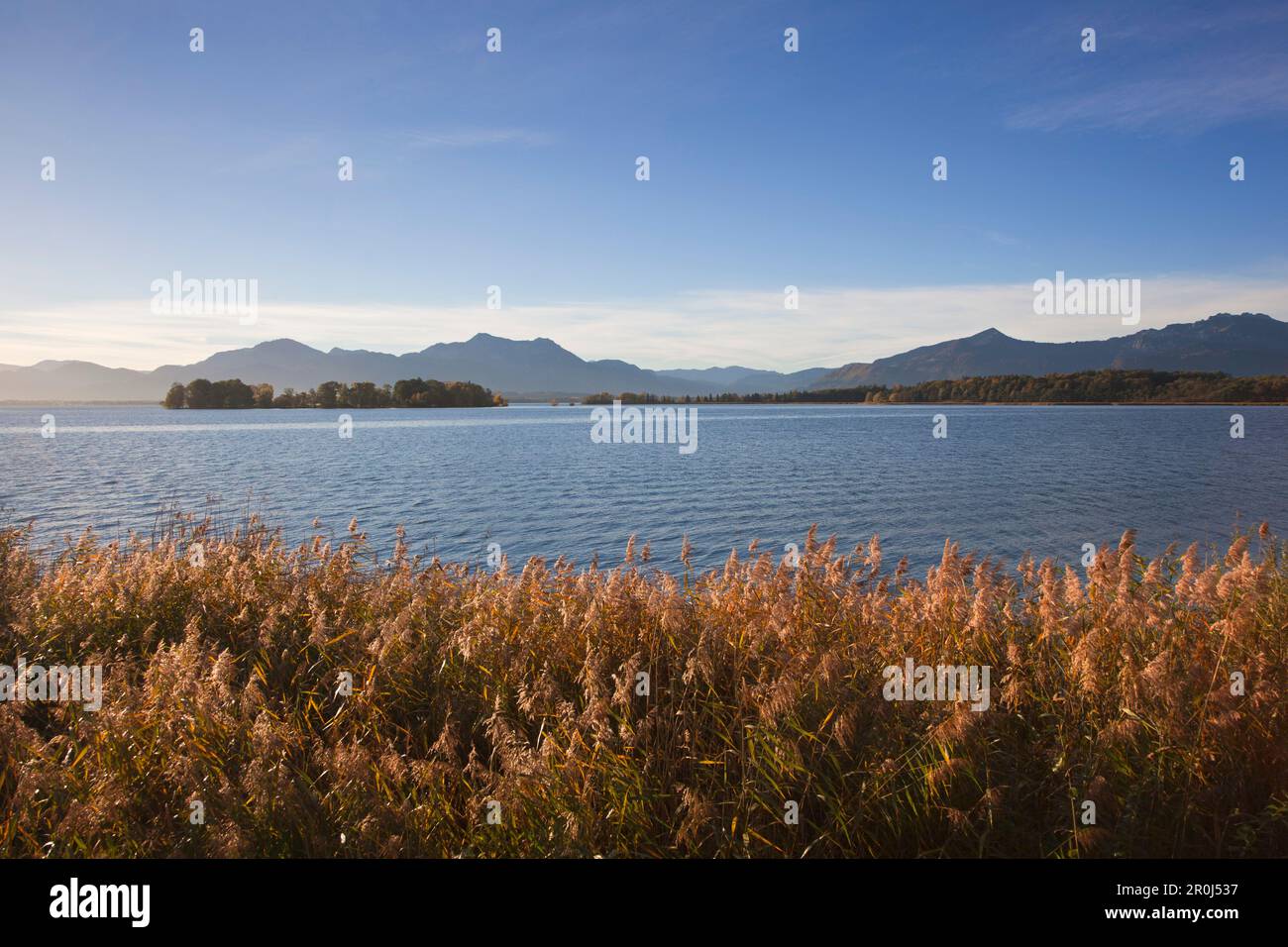 View over Chiemsee to Krautinsel and Herreninsel, near Gstadt, Chiemsee ...