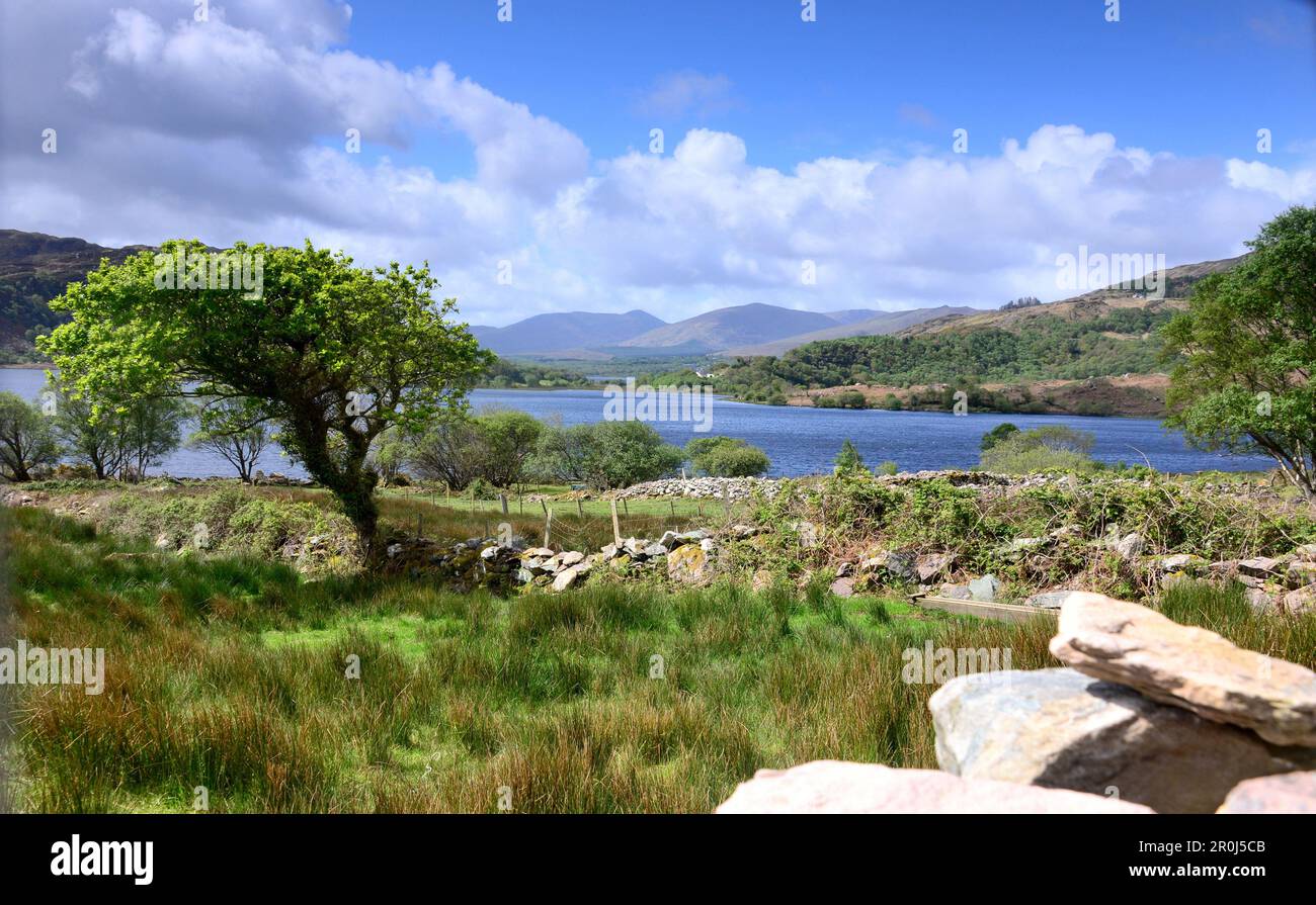 Lake Caragh at Ring of Kerry, Kerry, West coast, Ireland Stock Photo ...
