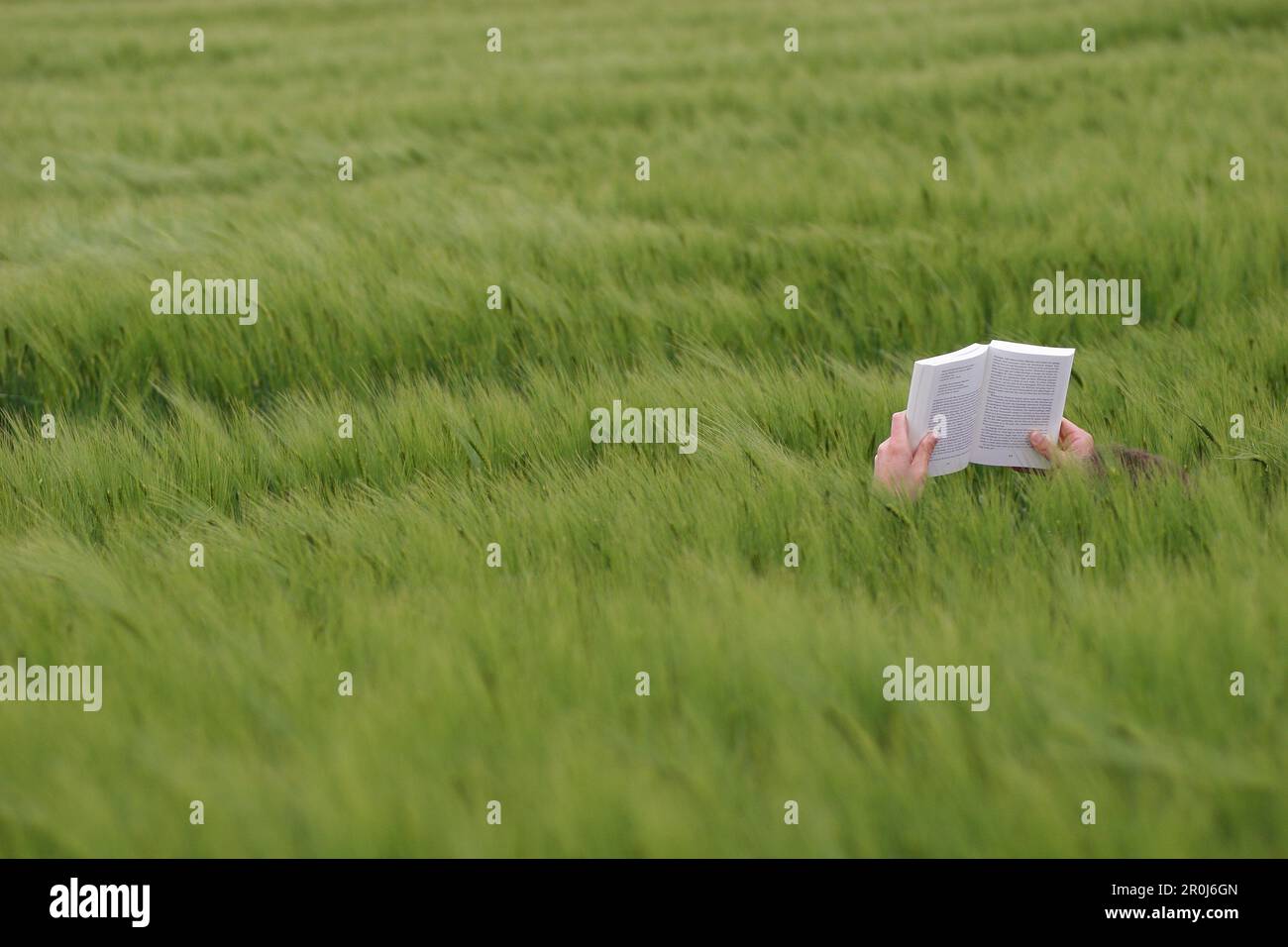 A man lying in a field holding an open book in his hands and reading ...
