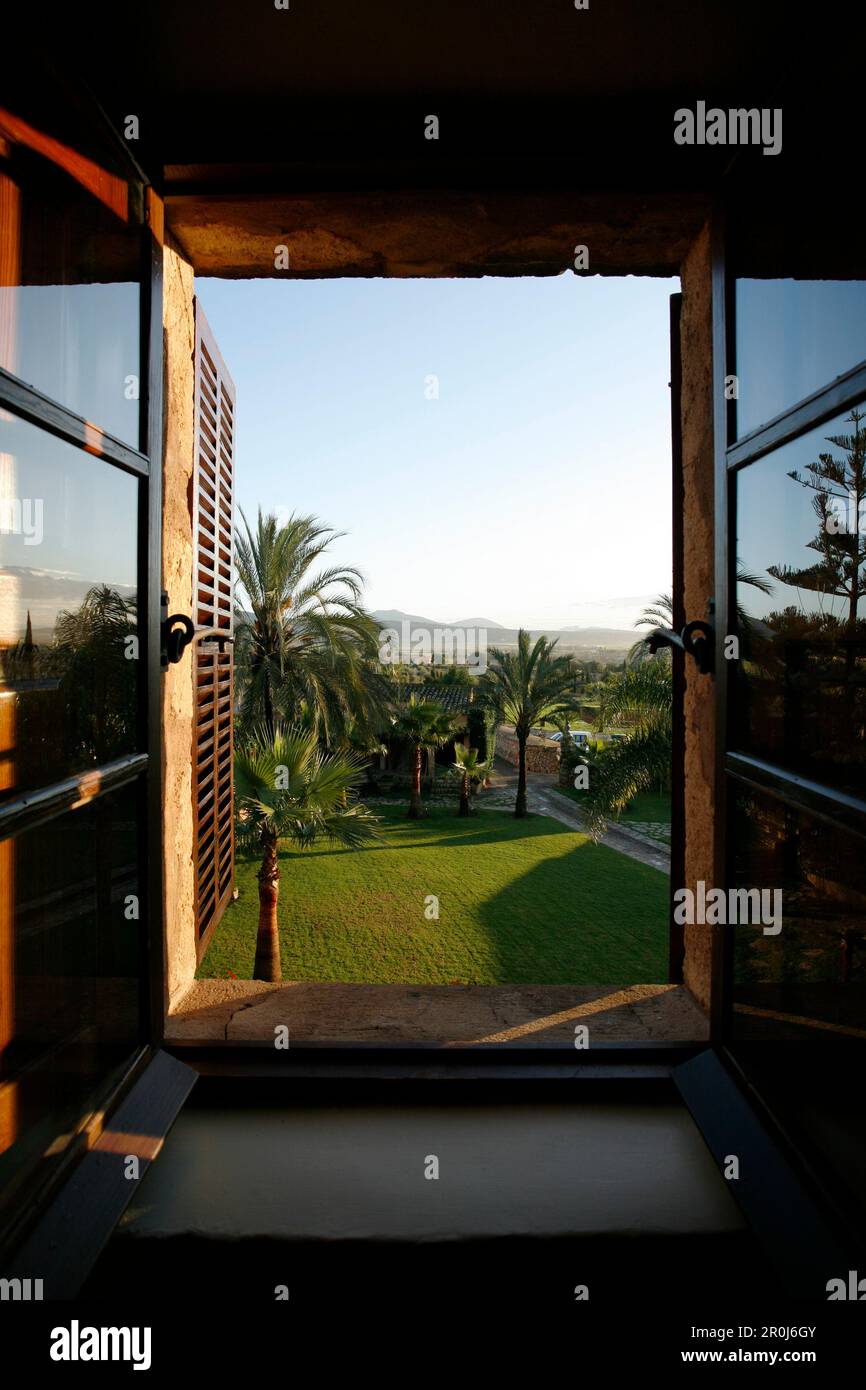 View through open window with palm trees, near Manacor, Mallorca ...