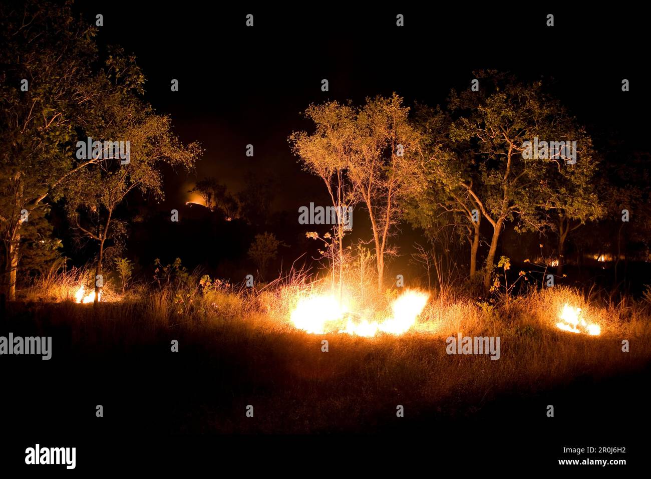 Burning bush symbolic hi-res stock photography and images - Alamy