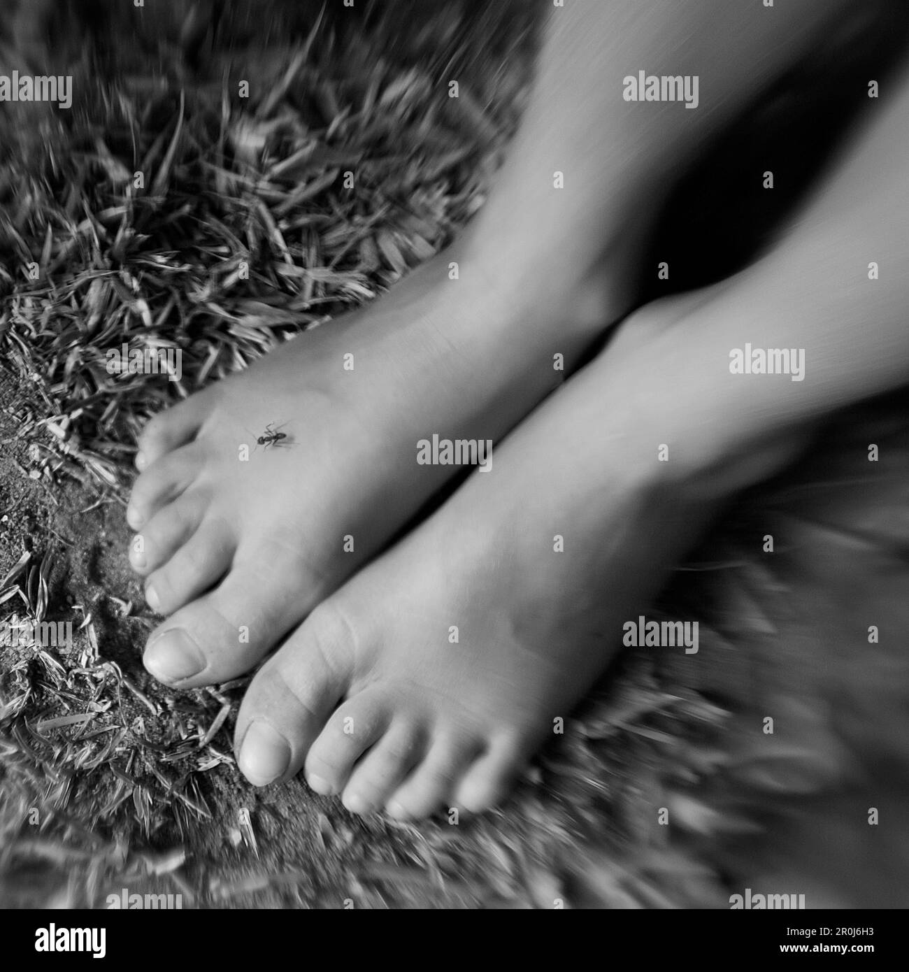 Feet with an ant (black and white photo using Lensbaby technique ...