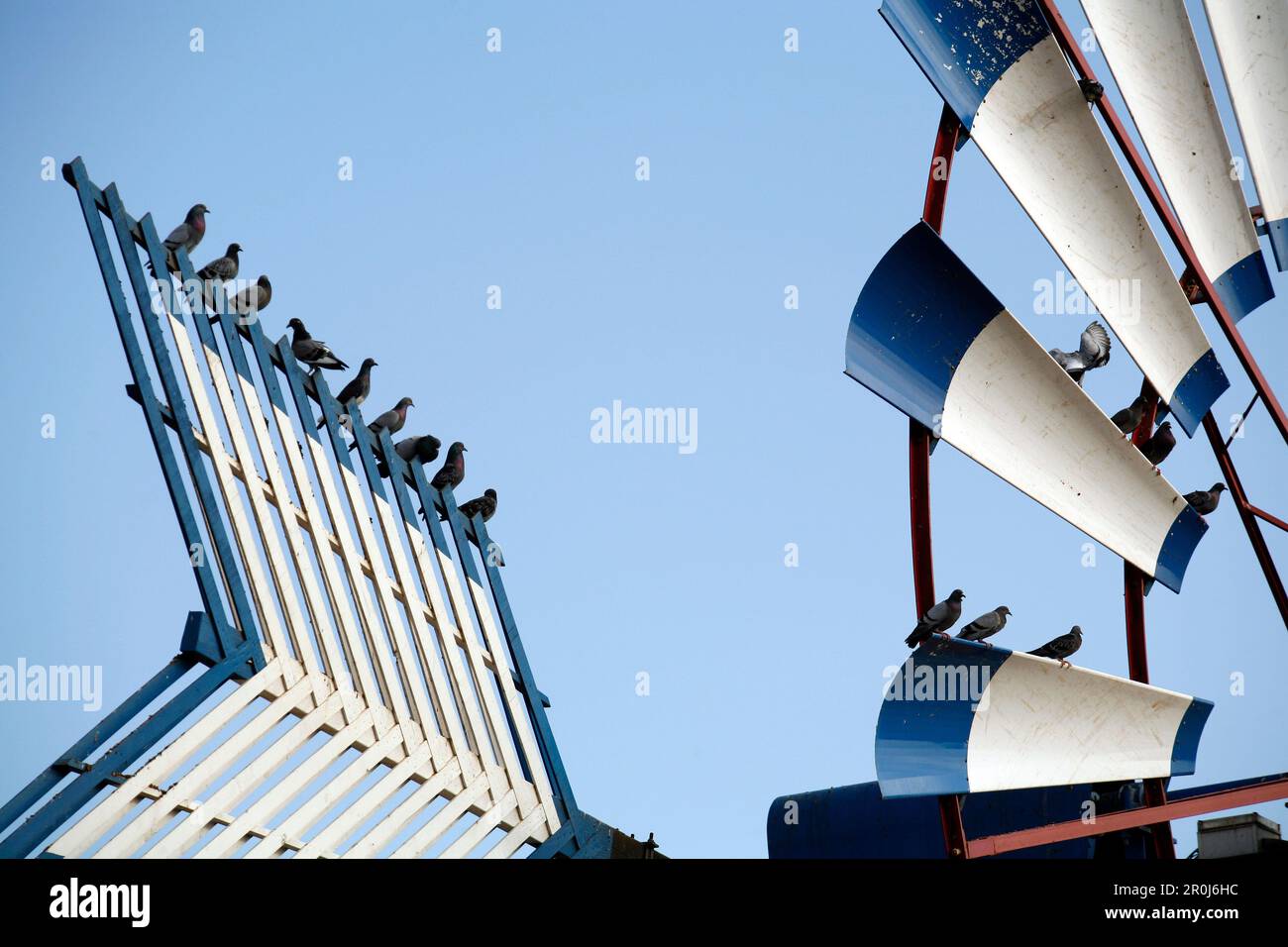 Wind wheel with blue and white rotor blades and pigeons sitting on top ...