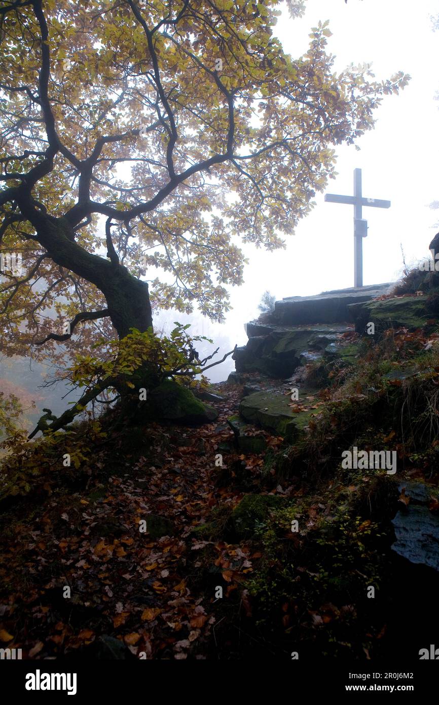 Summit cross in the forest near Wuestegarten in the Kellerwald forest ...