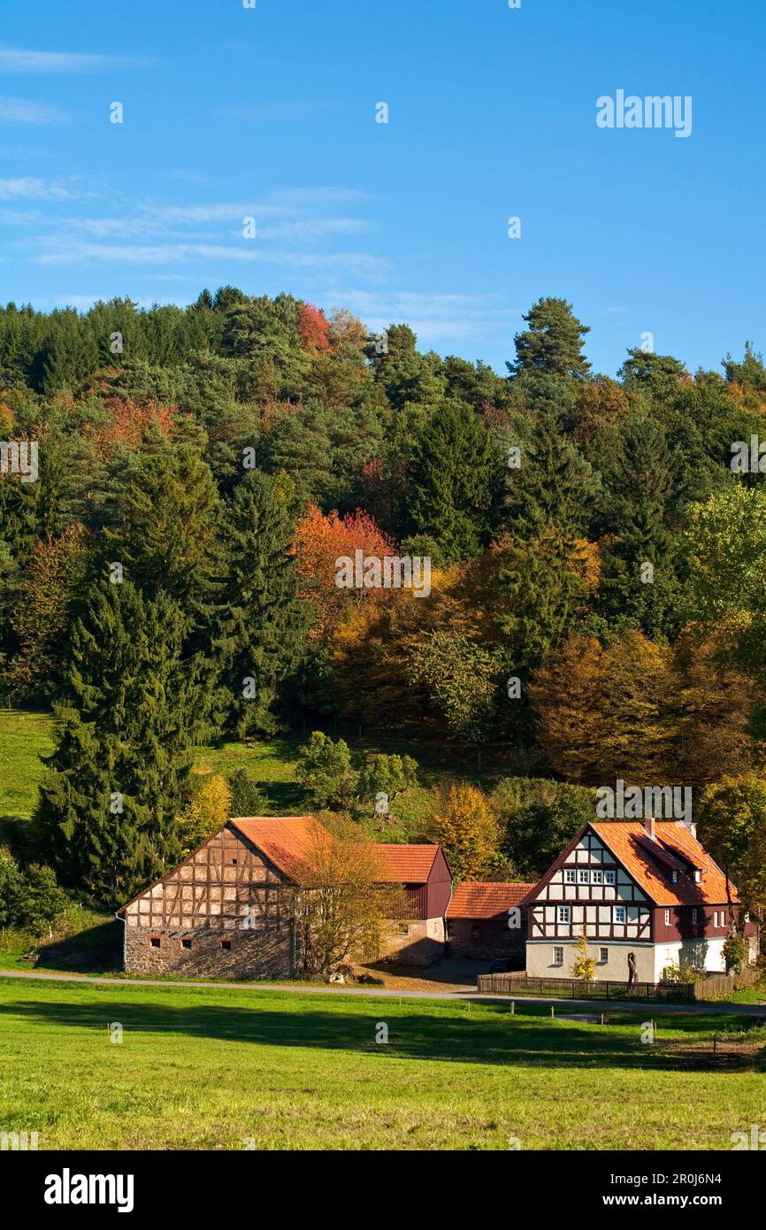 National park basement edersee hi-res stock photography and images - Alamy