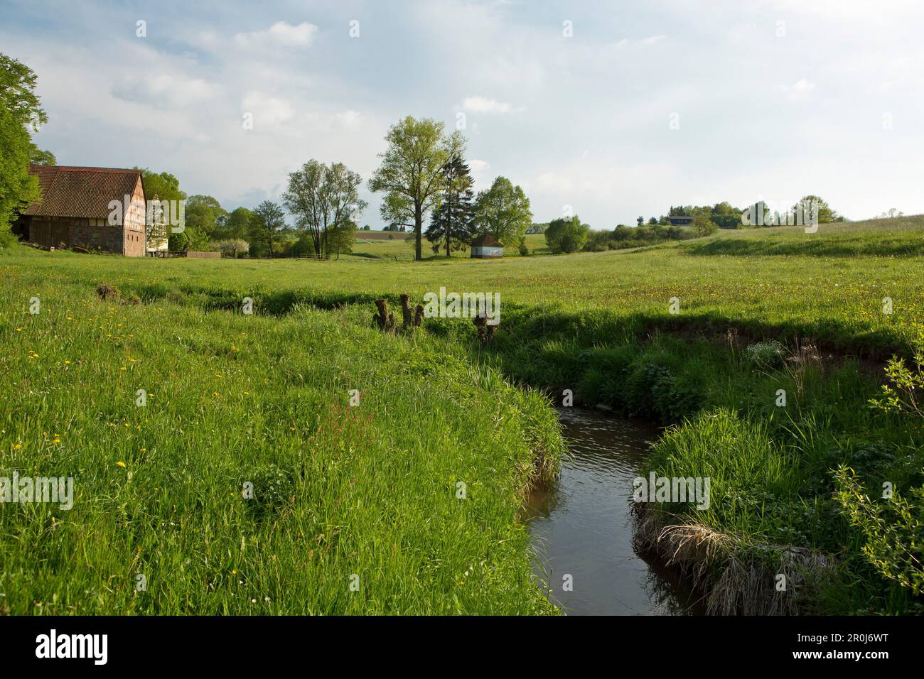 National park basement edersee hi-res stock photography and images - Alamy