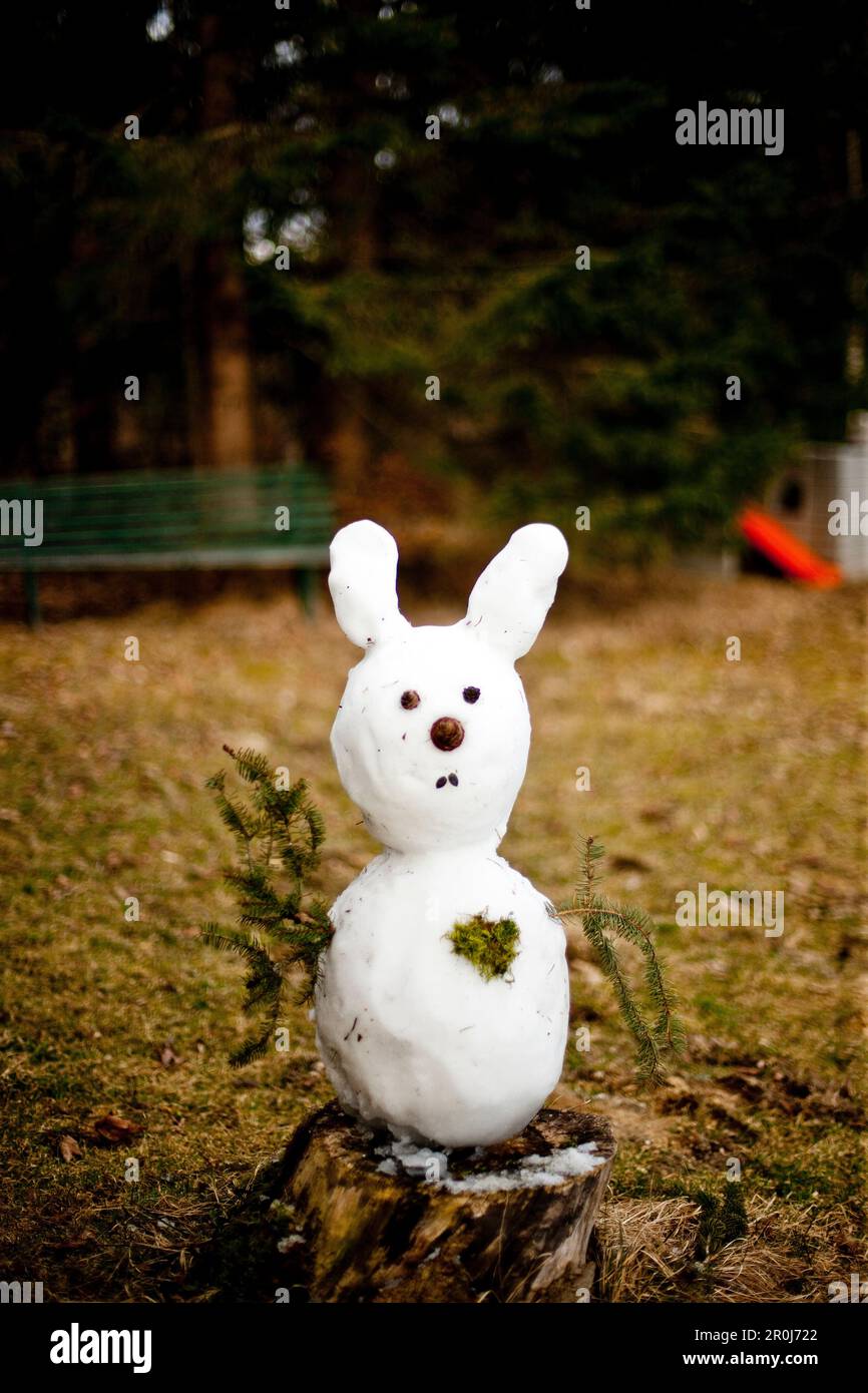 Rabbit in spring hi-res stock photography and images - Alamy