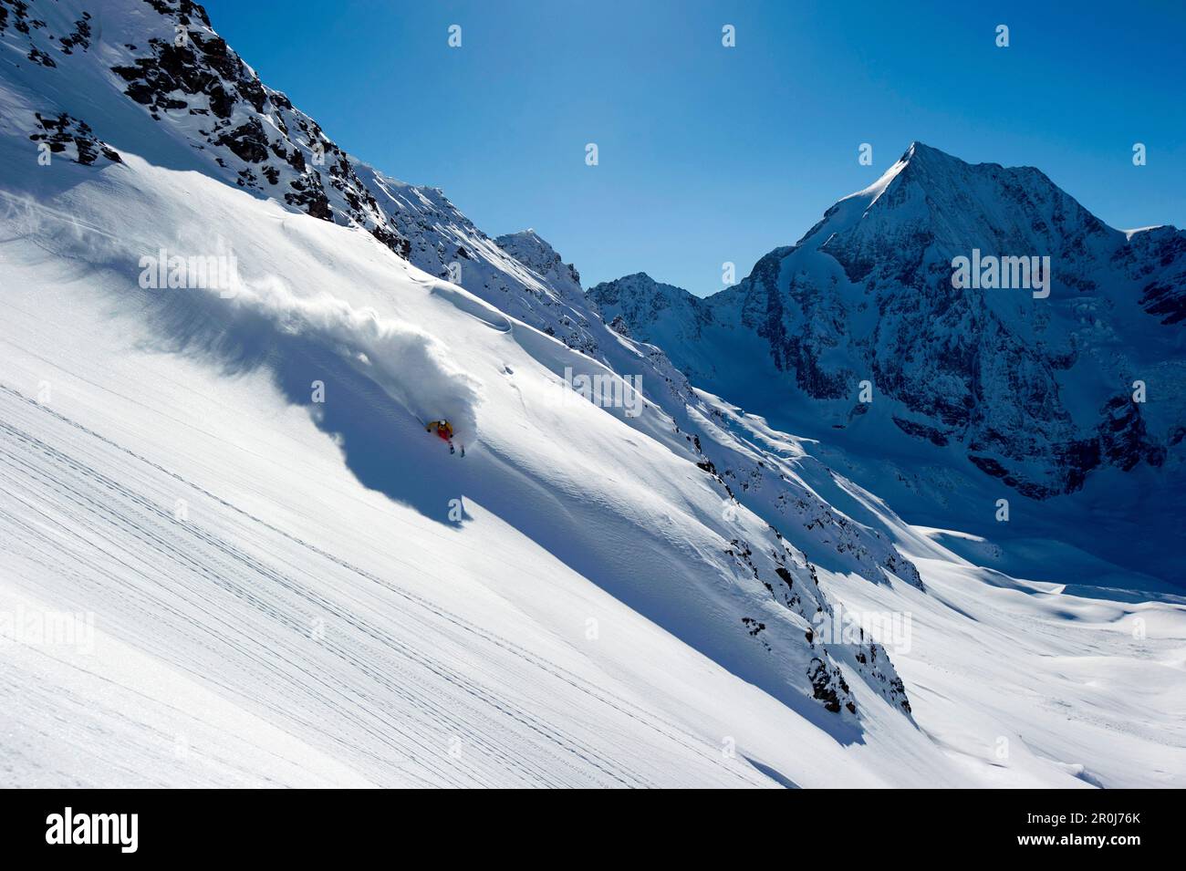 Skier downhill skiing in deep snow, Gran Zebru, Sulden, Ortler Alps ...