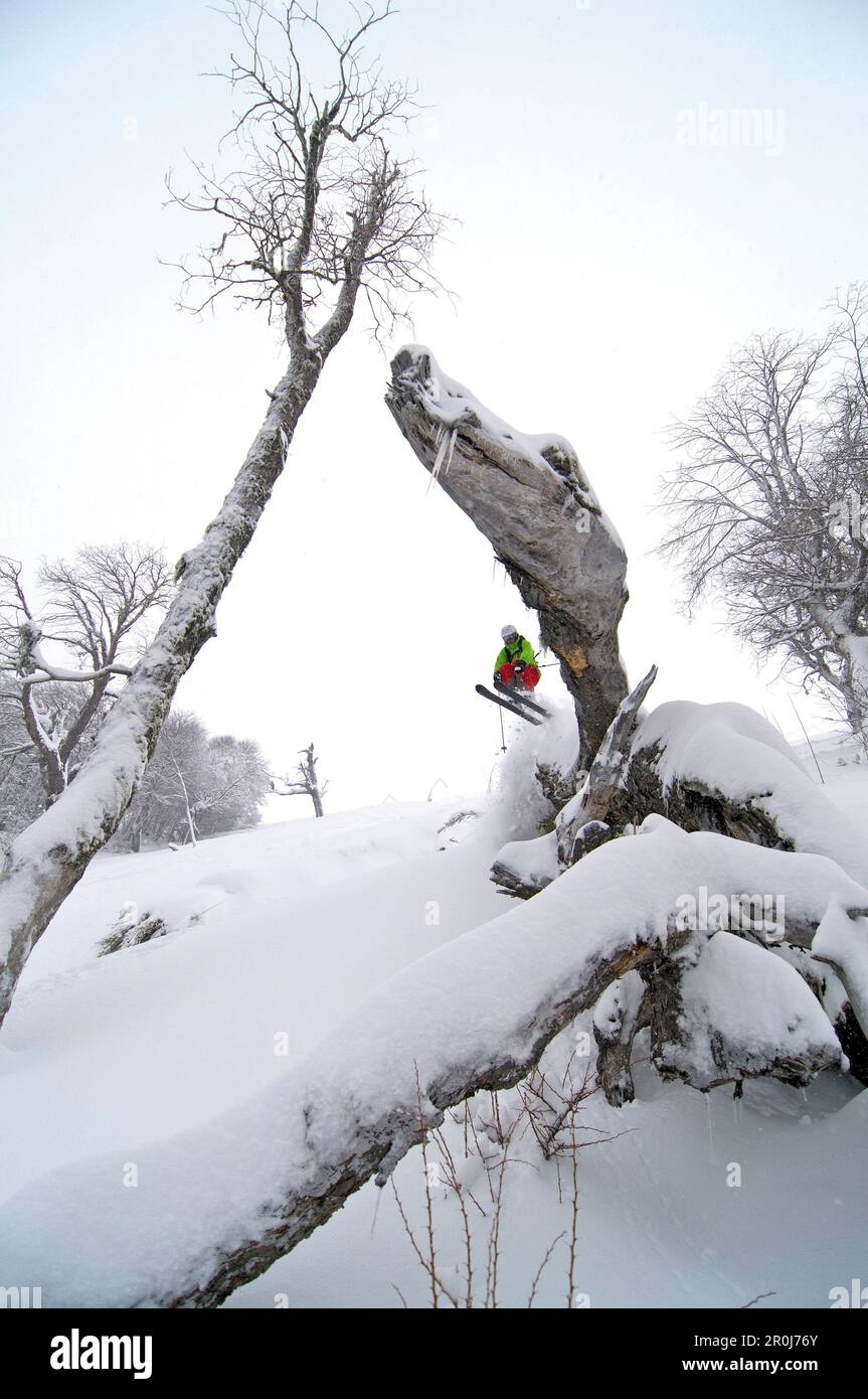 Région de bio bio hi-res stock photography and images - Alamy