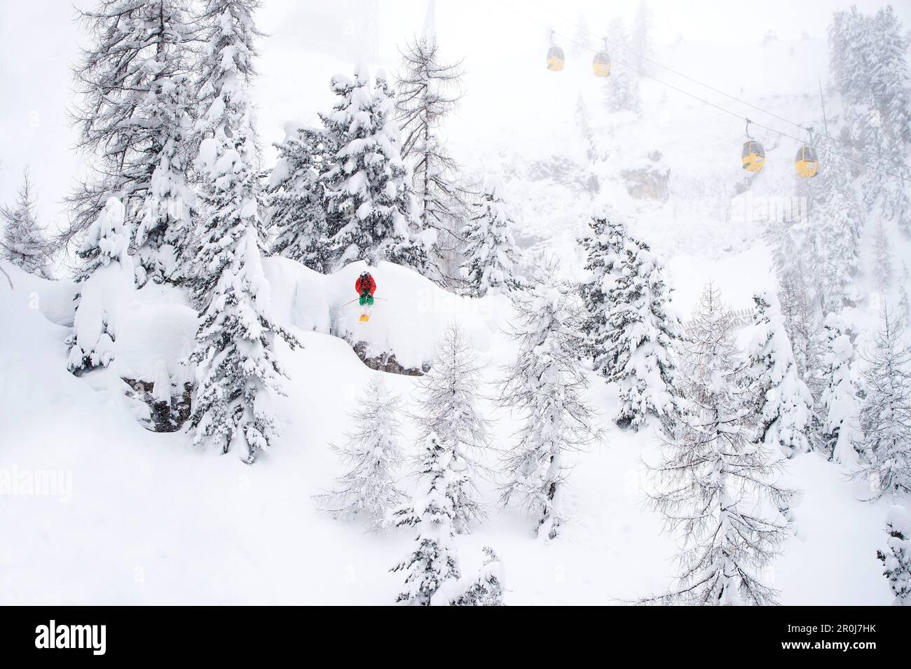 Powder in the woods after a record-snowfall, Corvara, Dolomites, Italy ...