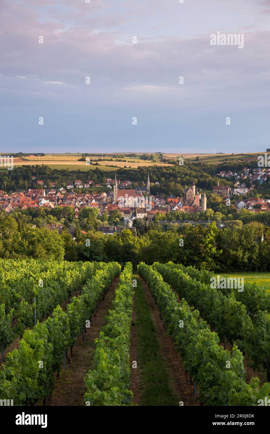 View across vineyard to city with its famous towers, Ochsenfurt ...