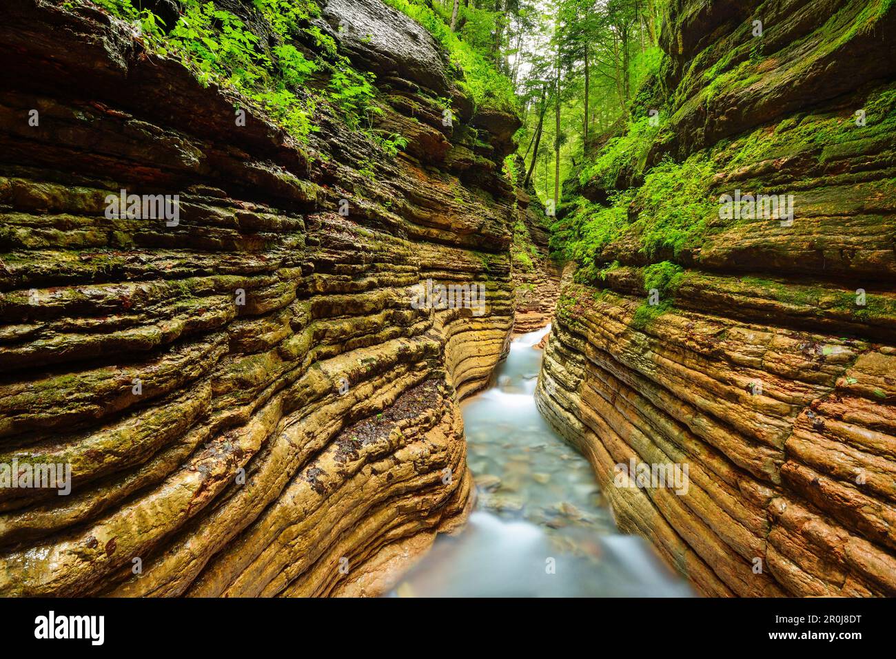 Stream flowing through red canyon, Salzkammergut, Salzburg, Austria ...