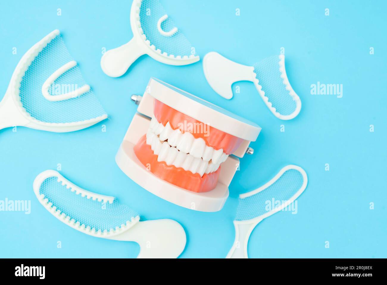 Teeth model and instrument dental on blue background Stock Photo - Alamy