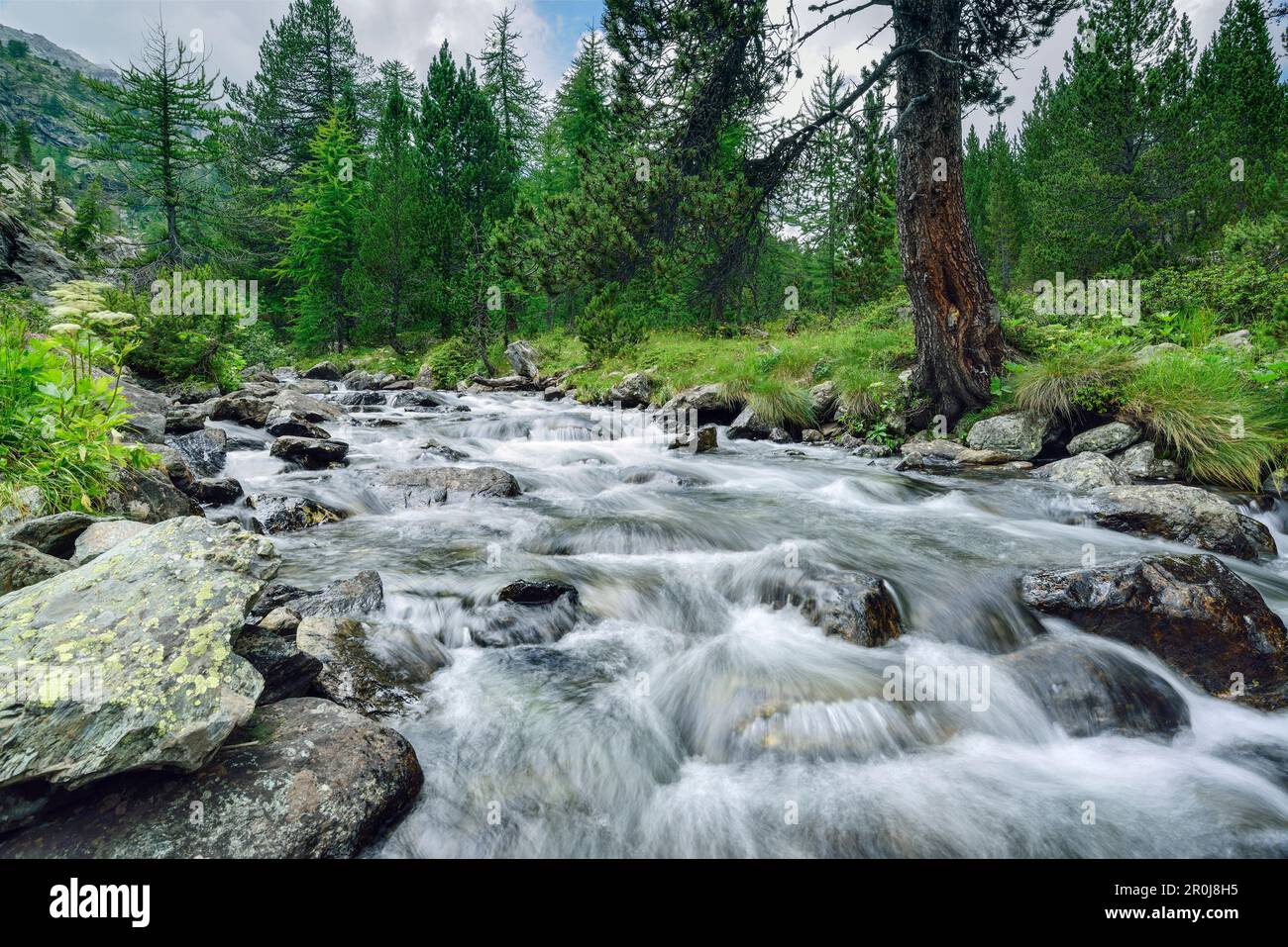 Stream flowing through mountain valley, Natural Park Mont Avic, Graian ...