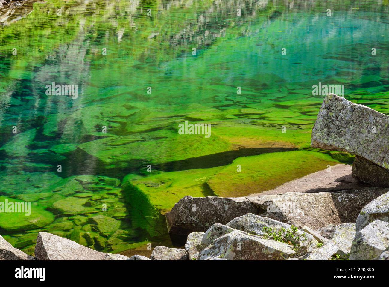 Blue-green mountain lake, lake Lago Caserina, Lagorai range, Dolomites ...