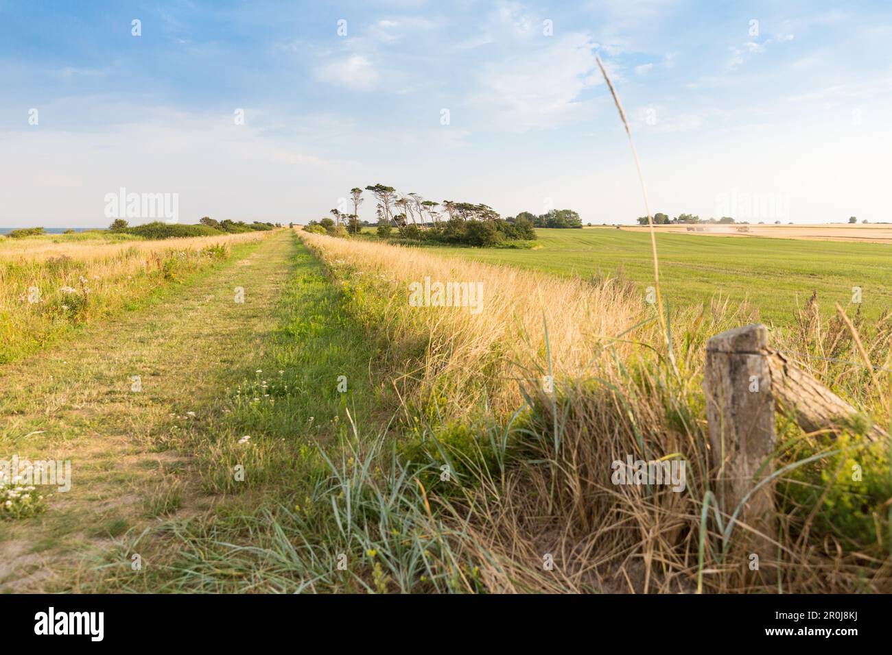 Island falster hi-res stock photography and images - Alamy