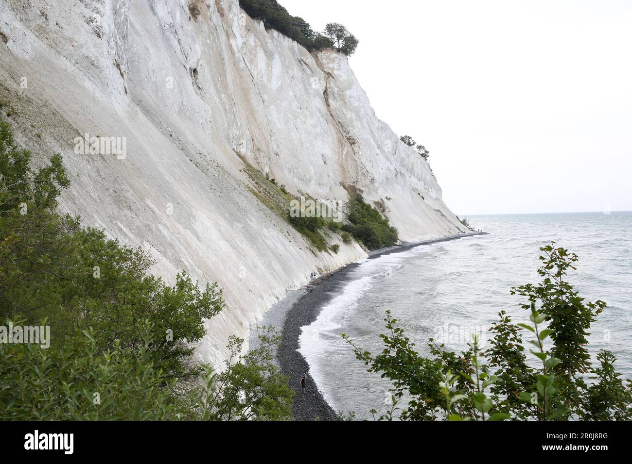 Chalk cliffs Mons Klint, Klintholm, Island Mon, Denmark Stock Photo - Alamy