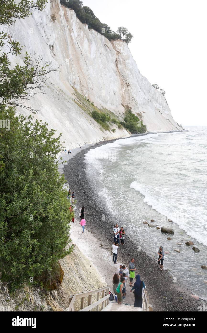 Tourists visiting chalk cliffs Mons Klint, Klintholm, Island Mon ...