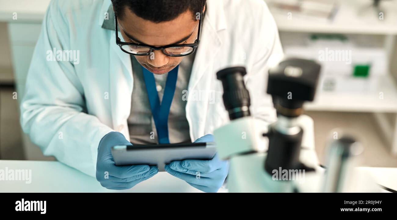 Putting together a new research portfolio. a young scientist using a ...