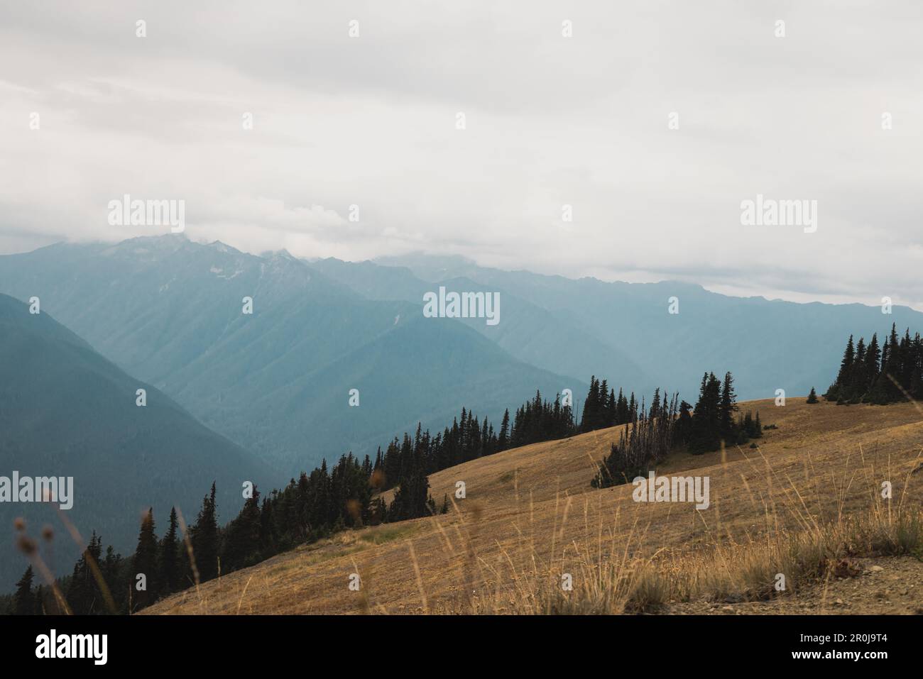 Blue ridge ridge mountain layers with clouds in distance and trees on ...