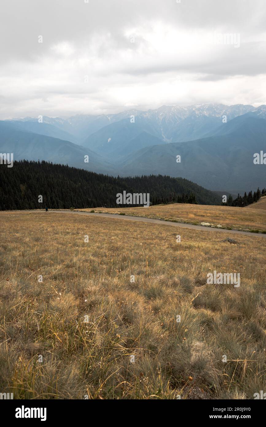 Blue ridge ridge mountain layers with clouds in distance and trees on ...