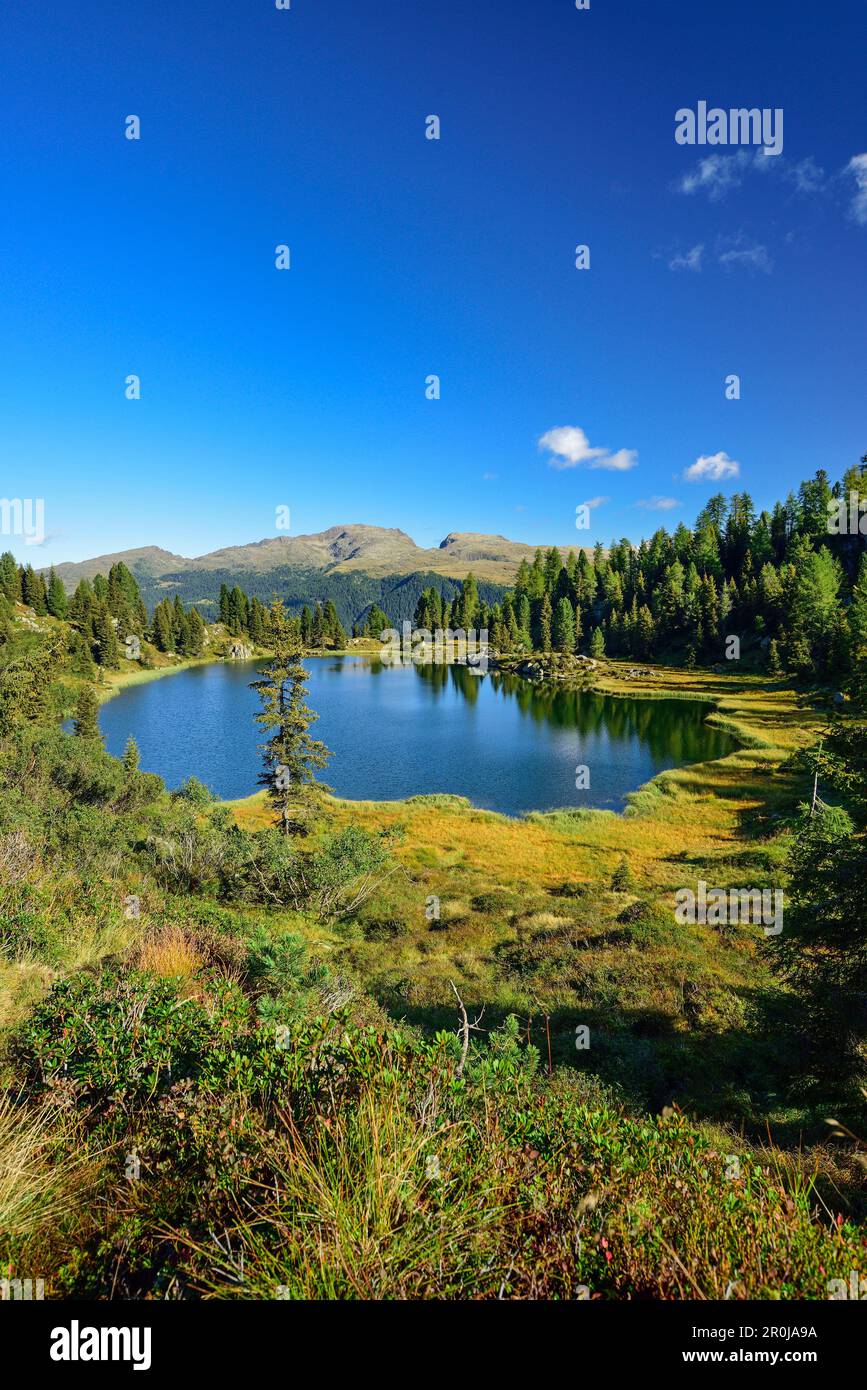 Lake Lago Colbricon, Trans-Lagorai, Lagorai range, Dolomites, UNESCO ...