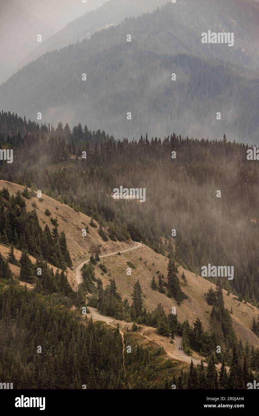 Blue ridge ridge mountain layers with clouds in distance and trees on ...