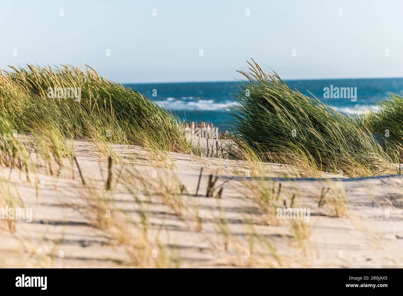 Dune landscape ellenbogen view hi-res stock photography and images - Alamy