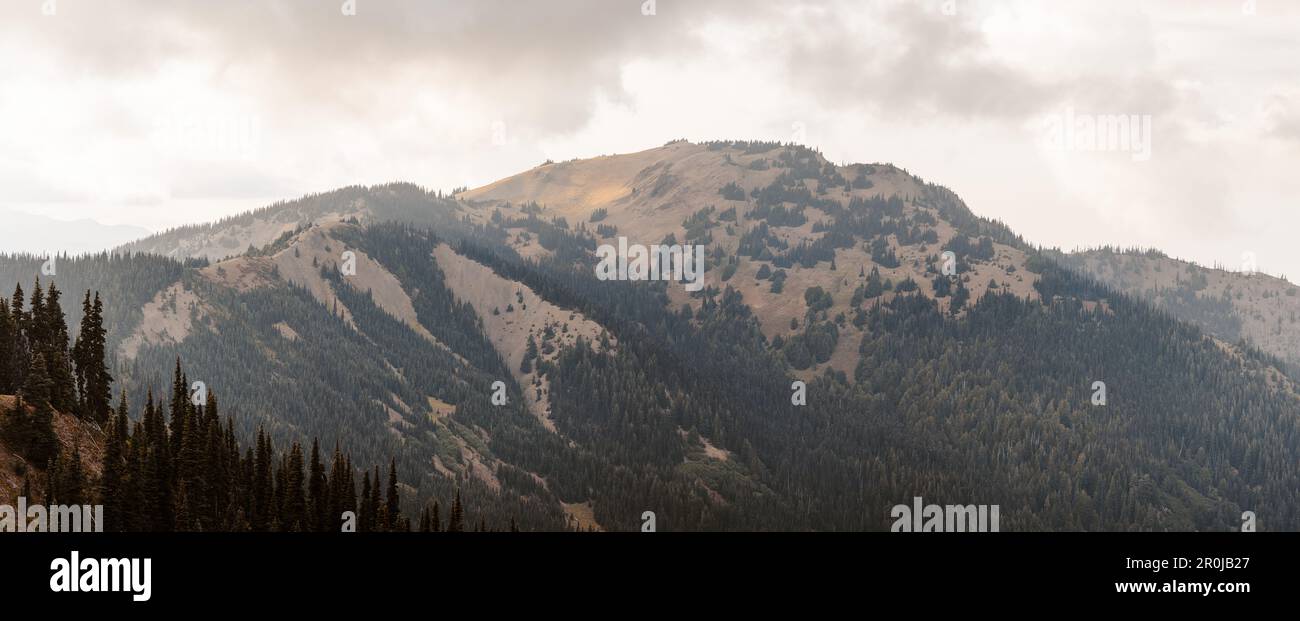 Top of Hurricane Hill Panorama at Hurricane Ridge in The Olympic ...
