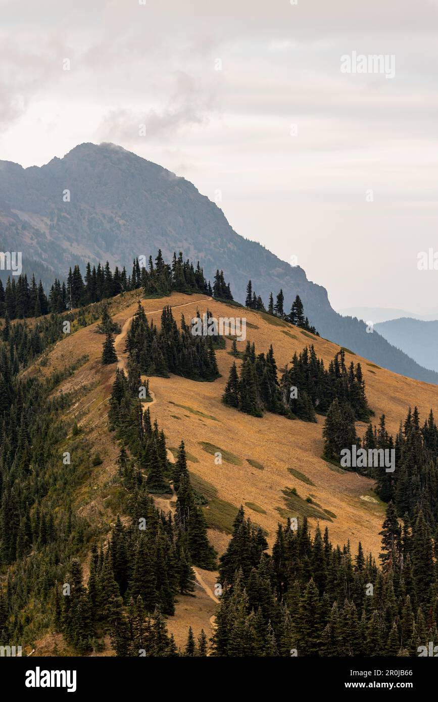 Hurricane ridge hiking hi-res stock photography and images - Alamy