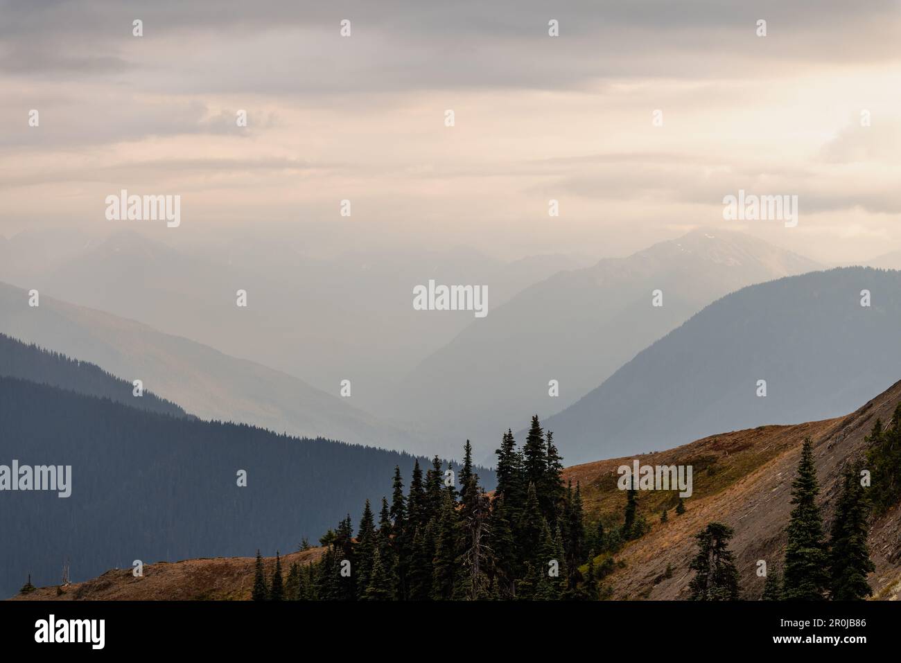 Blue ridge ridge mountain layers with clouds in distance and trees on ...