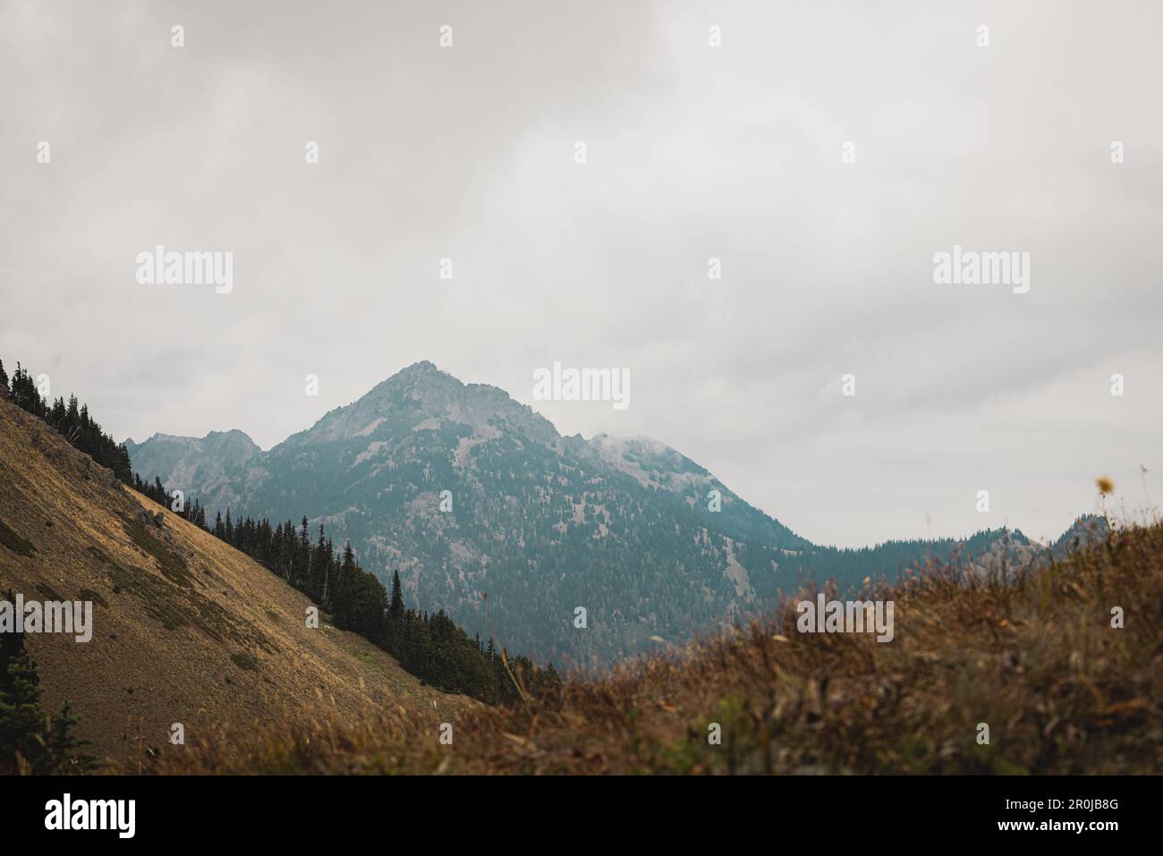 Blue ridge ridge mountain layers with clouds in distance and trees on ...
