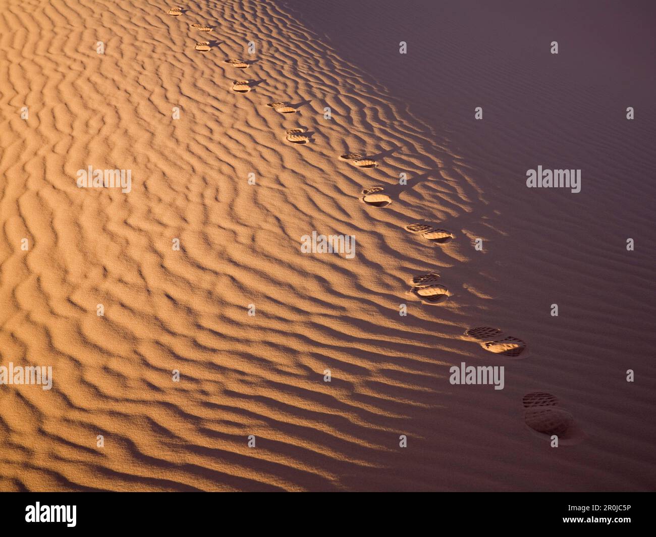 Footprints in the libyan desert, Libya, Sahara, Africa Stock Photo - Alamy
