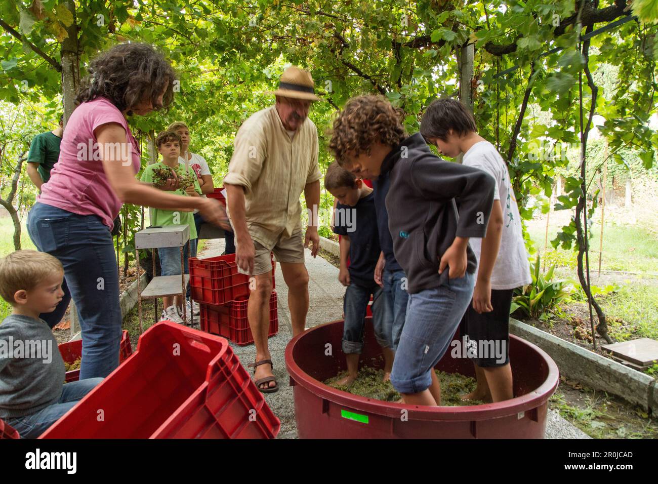 Grape stomping hi-res stock photography and images - Alamy