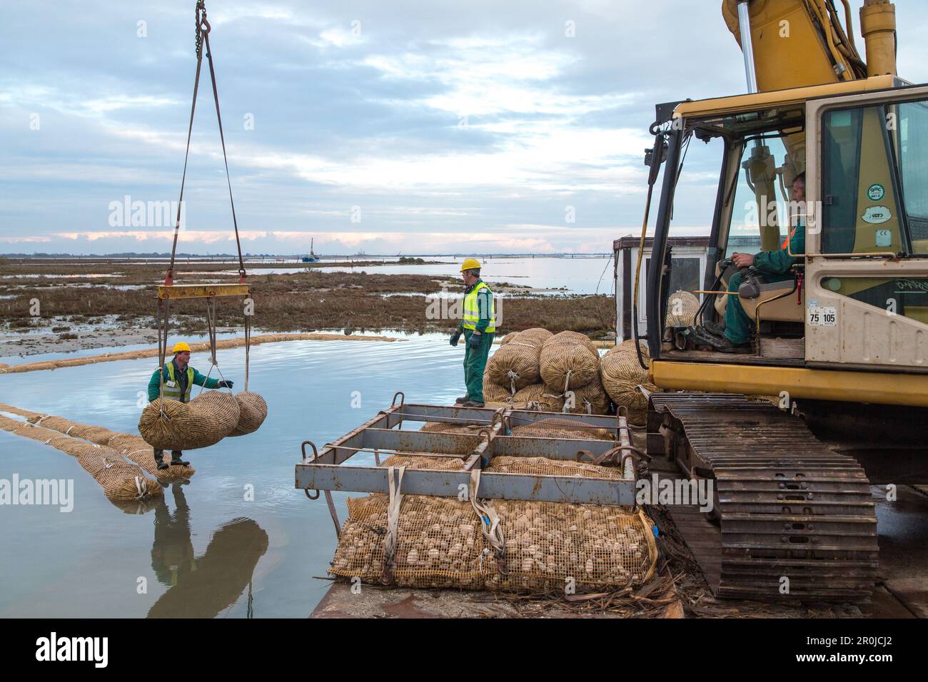 excavator, reinforcing areas around the salt marshes of the Lagoon to ...