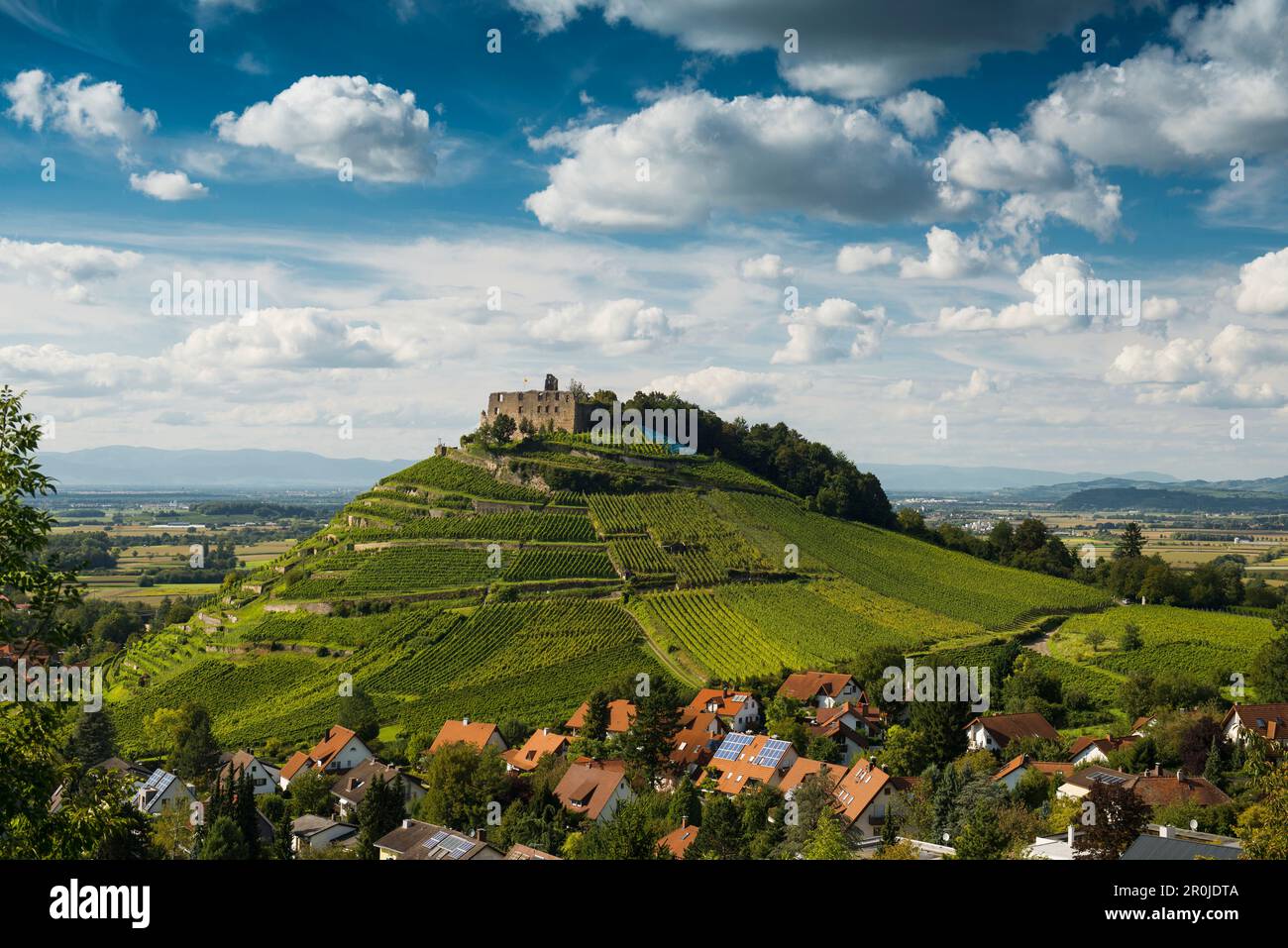 Castle ruins and vineyards, Staufen im Breisgau, Black Forest, Baden ...