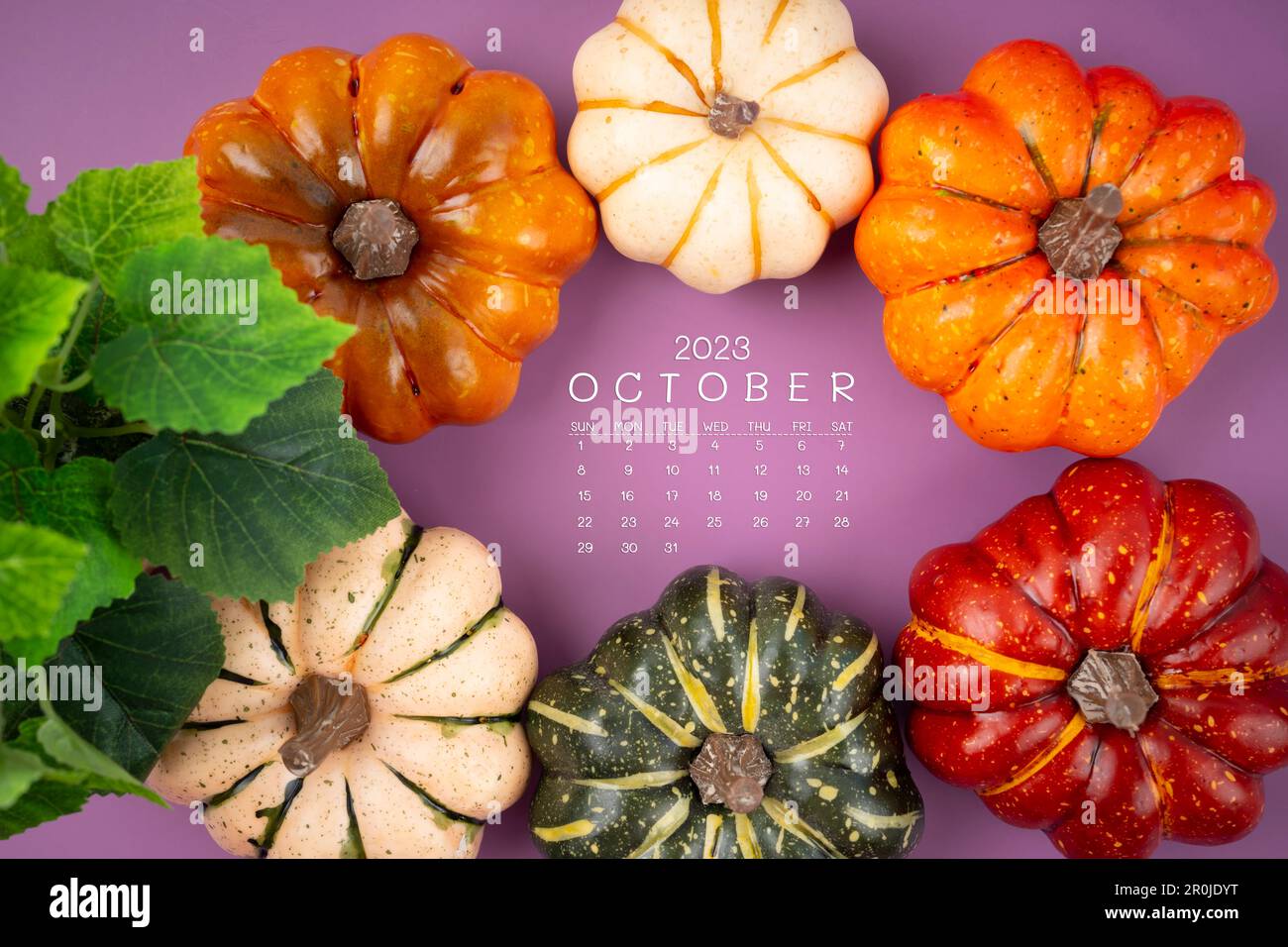 October 2023 Calendar and pumpkins on purple cardboard background Stock ...