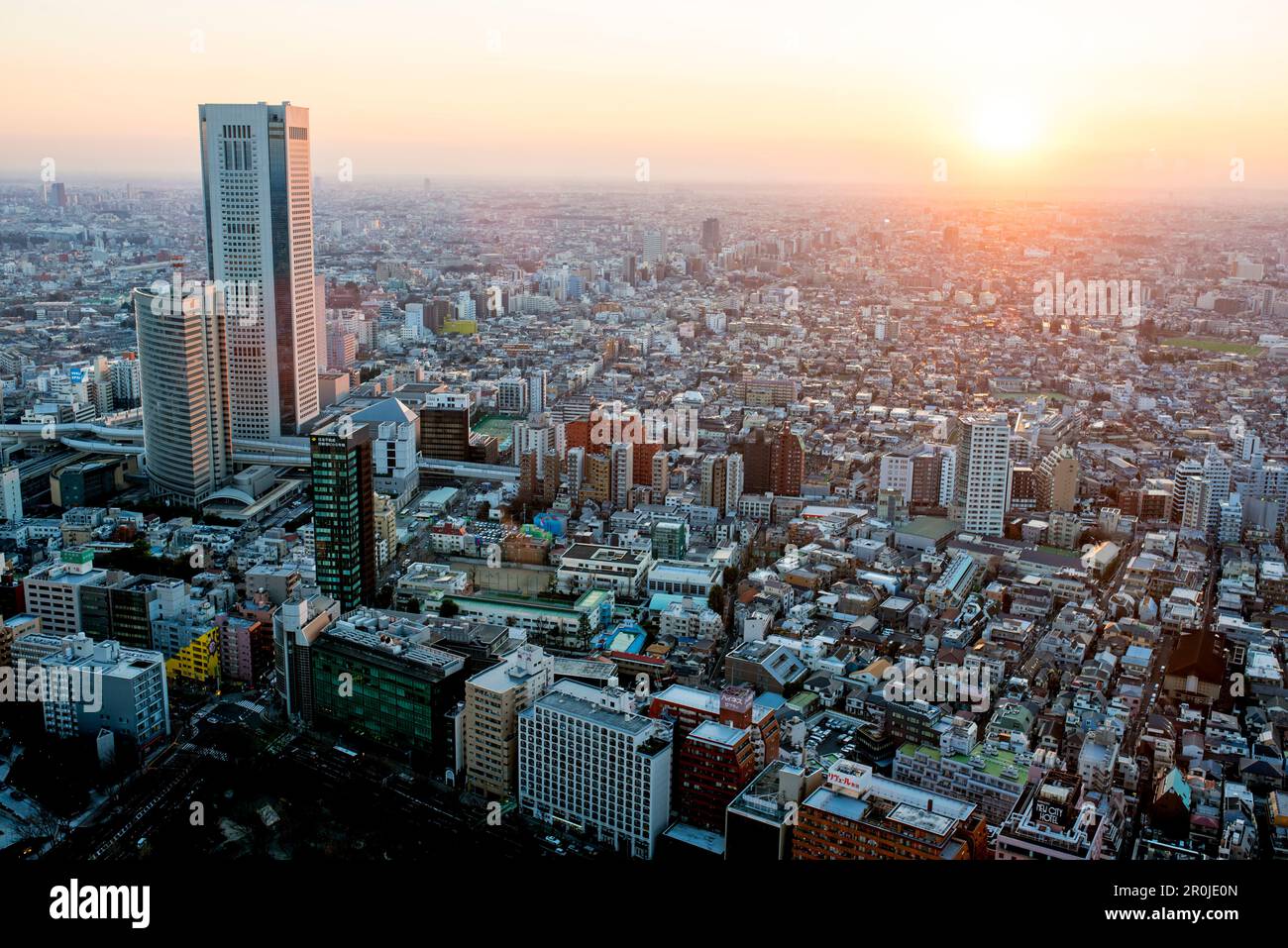 Tokyo in january hi-res stock photography and images - Alamy