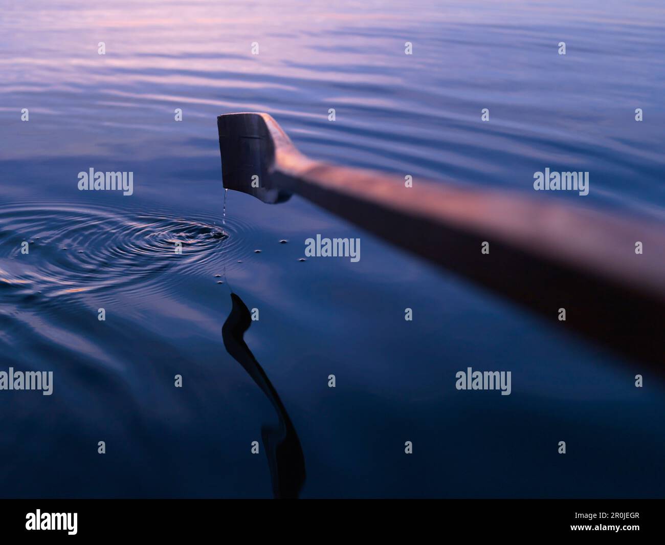 Wooden oar blade, lake Chiemsee, Bavaria, Germany Stock Photo - Alamy