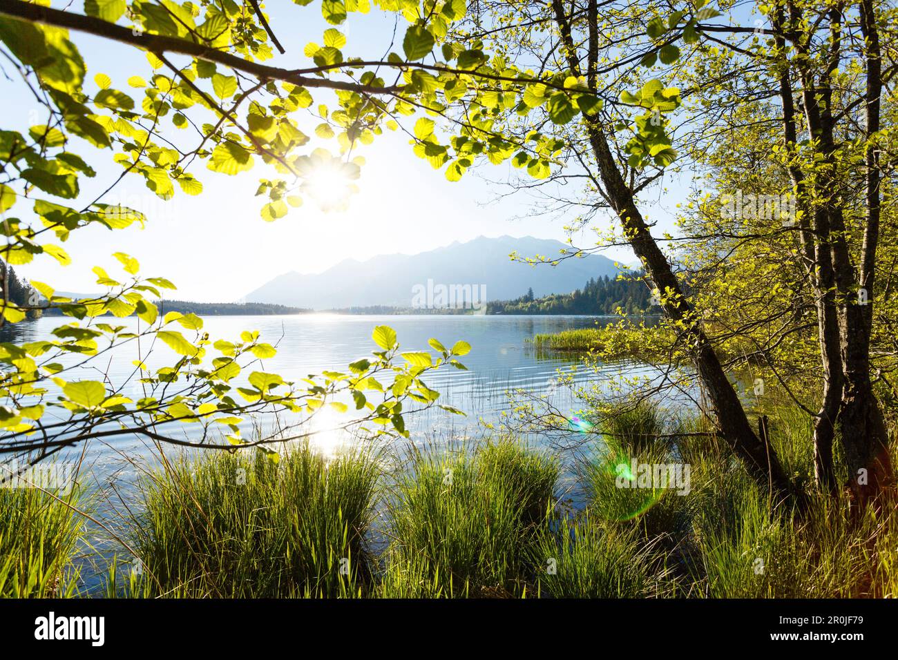 Barmsee, lake near Mittenwald in Spring, Werdenfelser Land, Karwendel ...