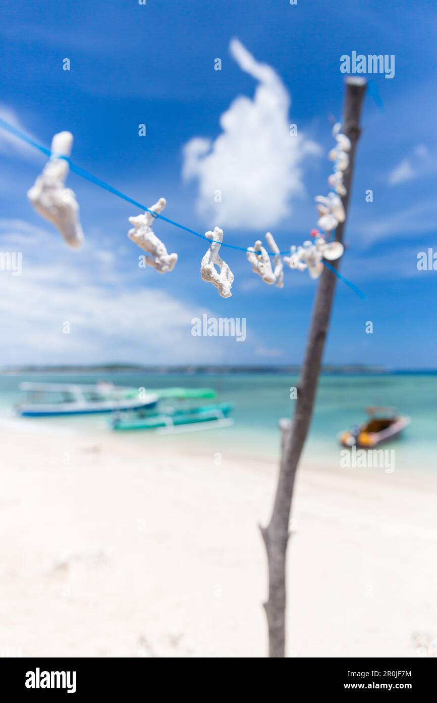 Indonesia beach shells hi-res stock photography and images - Alamy