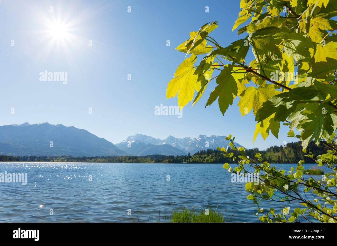 Barmsee, lake near Mittenwald in Spring, Werdenfelser Land, Wetterstein ...