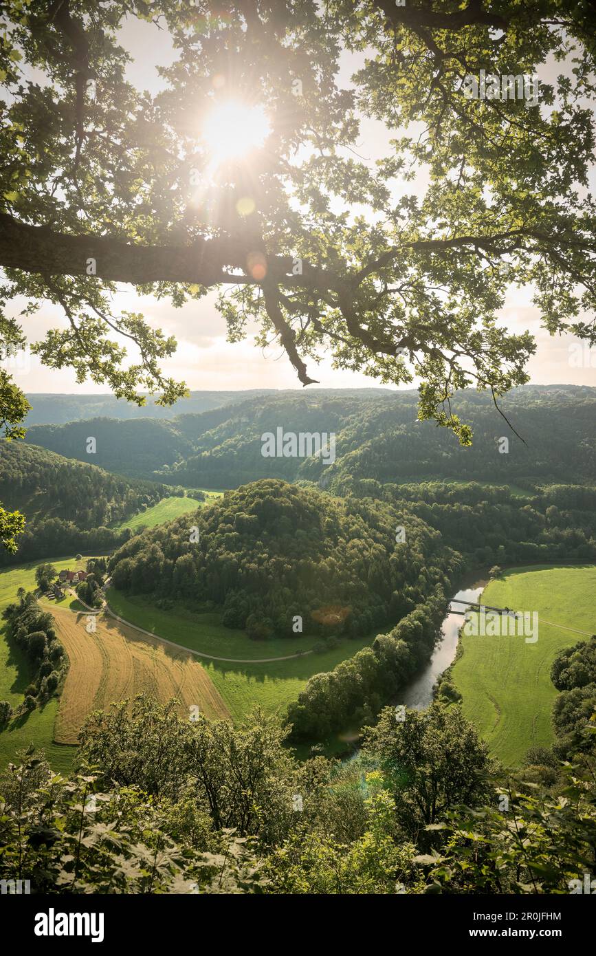 view of the Danube valley from castle Wildenstein, Upper Danube Nature ...