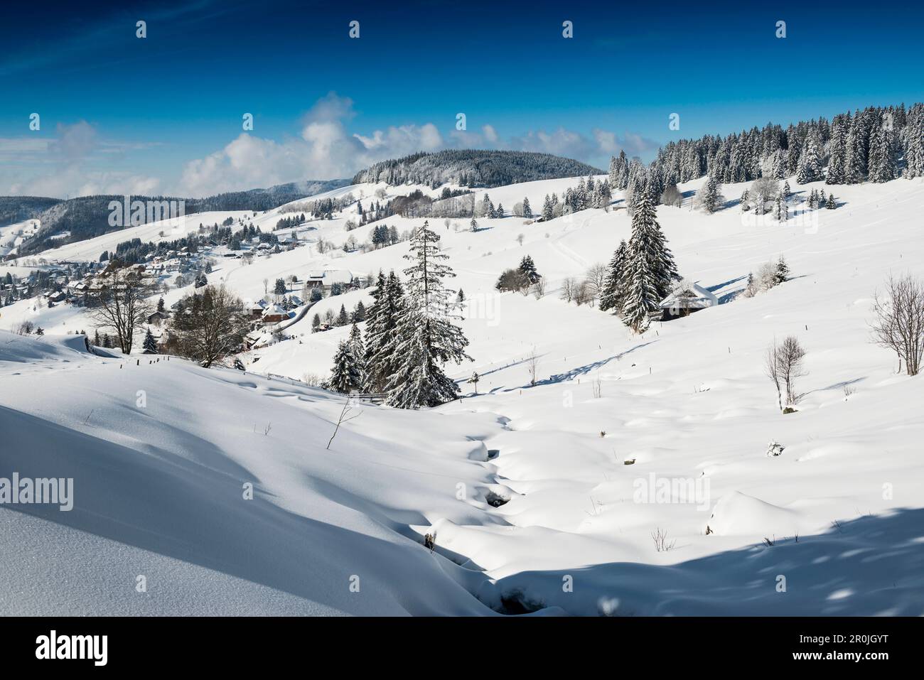 winter landscape, Todtnauberg, Black Forest, Baden-Württemberg, Germany ...
