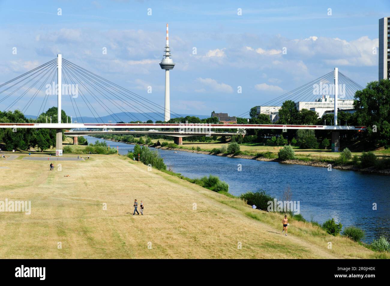 Neckar bridge with TV tower, Mannheim, Baden-Wurttemberg, Germany Stock ...