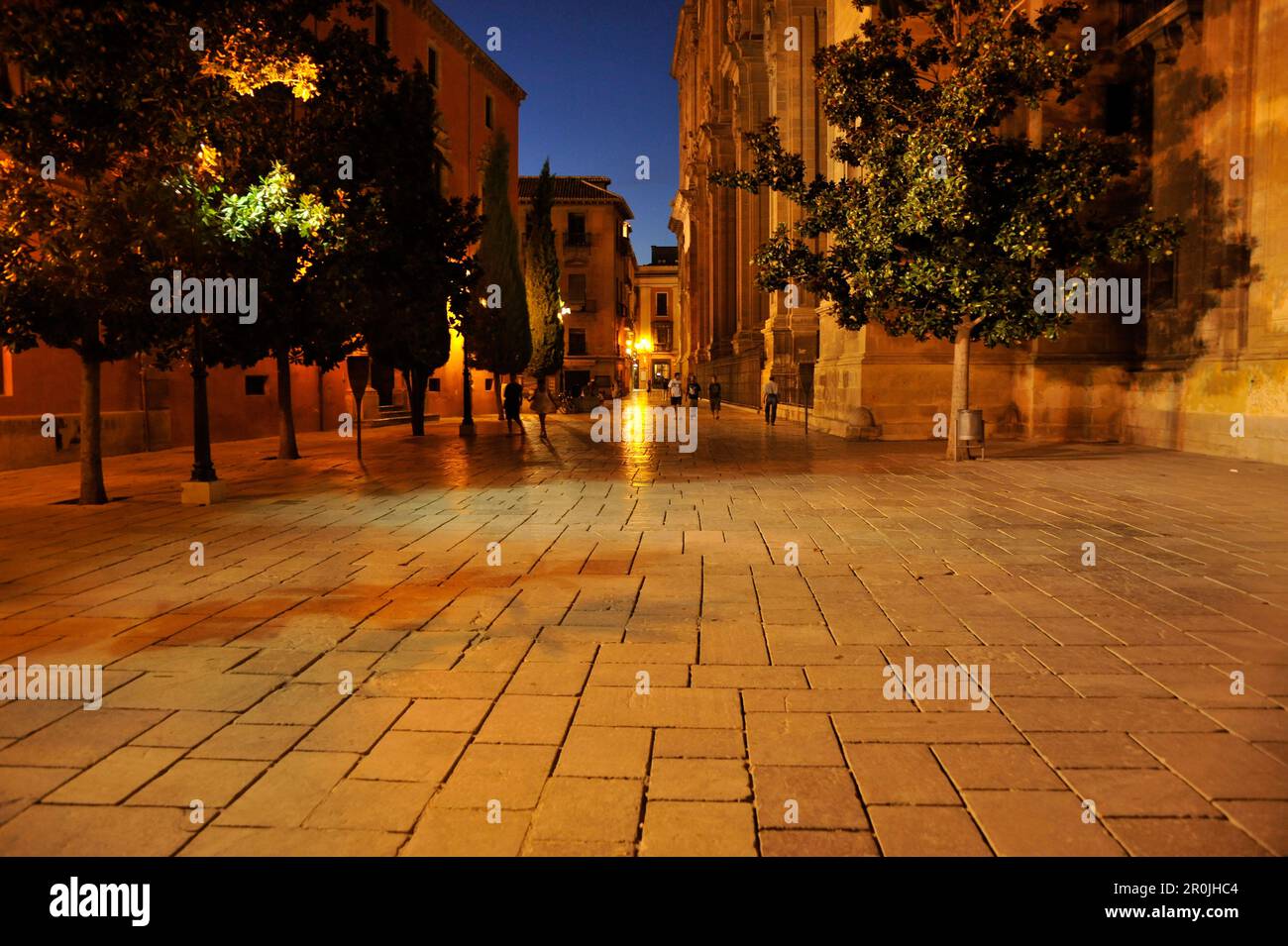 Night time shot cathedral hi-res stock photography and images - Alamy