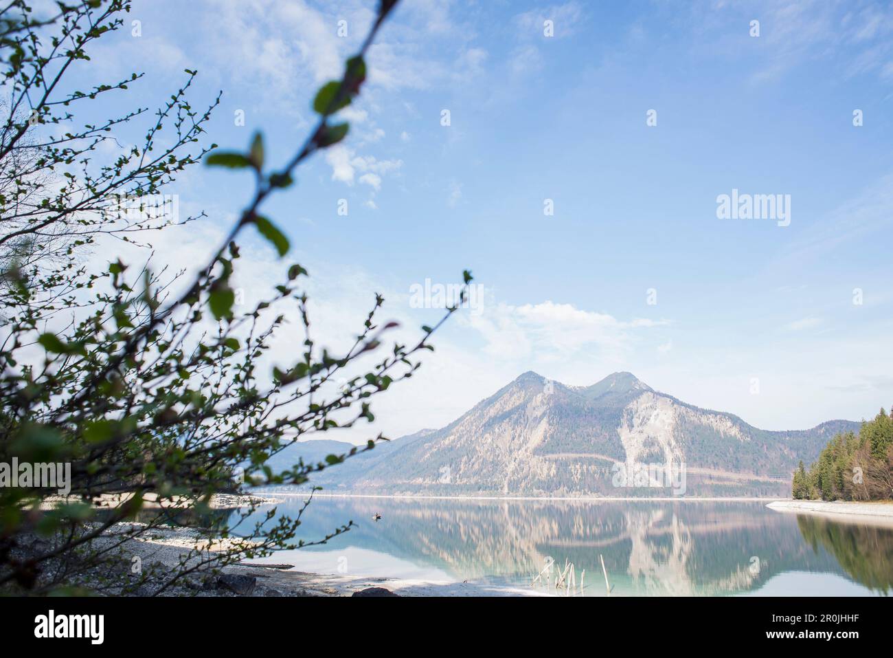 Views of lake Walchensee and Sassau island to Herzogstand, Walchensee ...