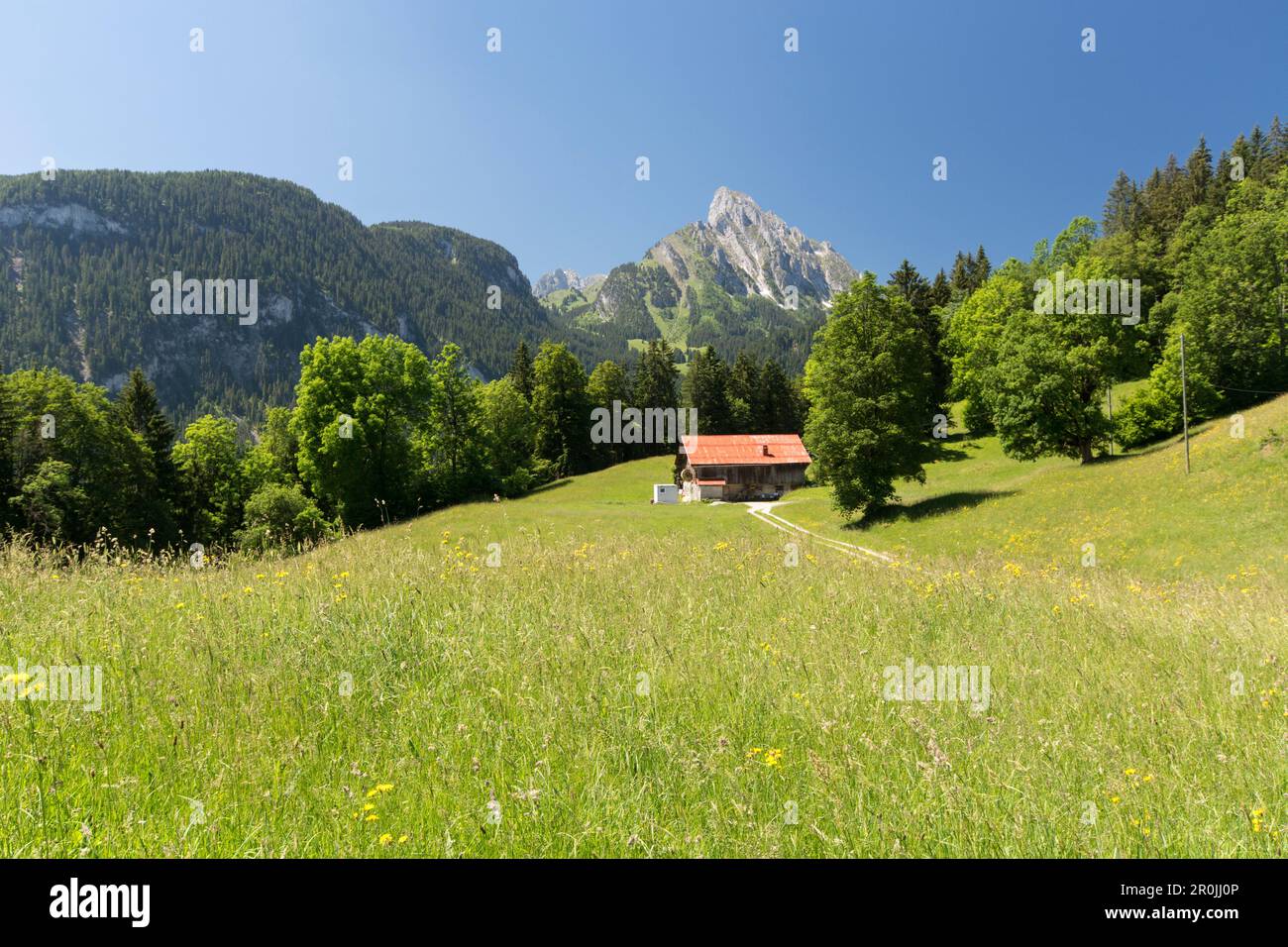 A farm house in a meadow, behind it the summit of Le Rubli, near the ...